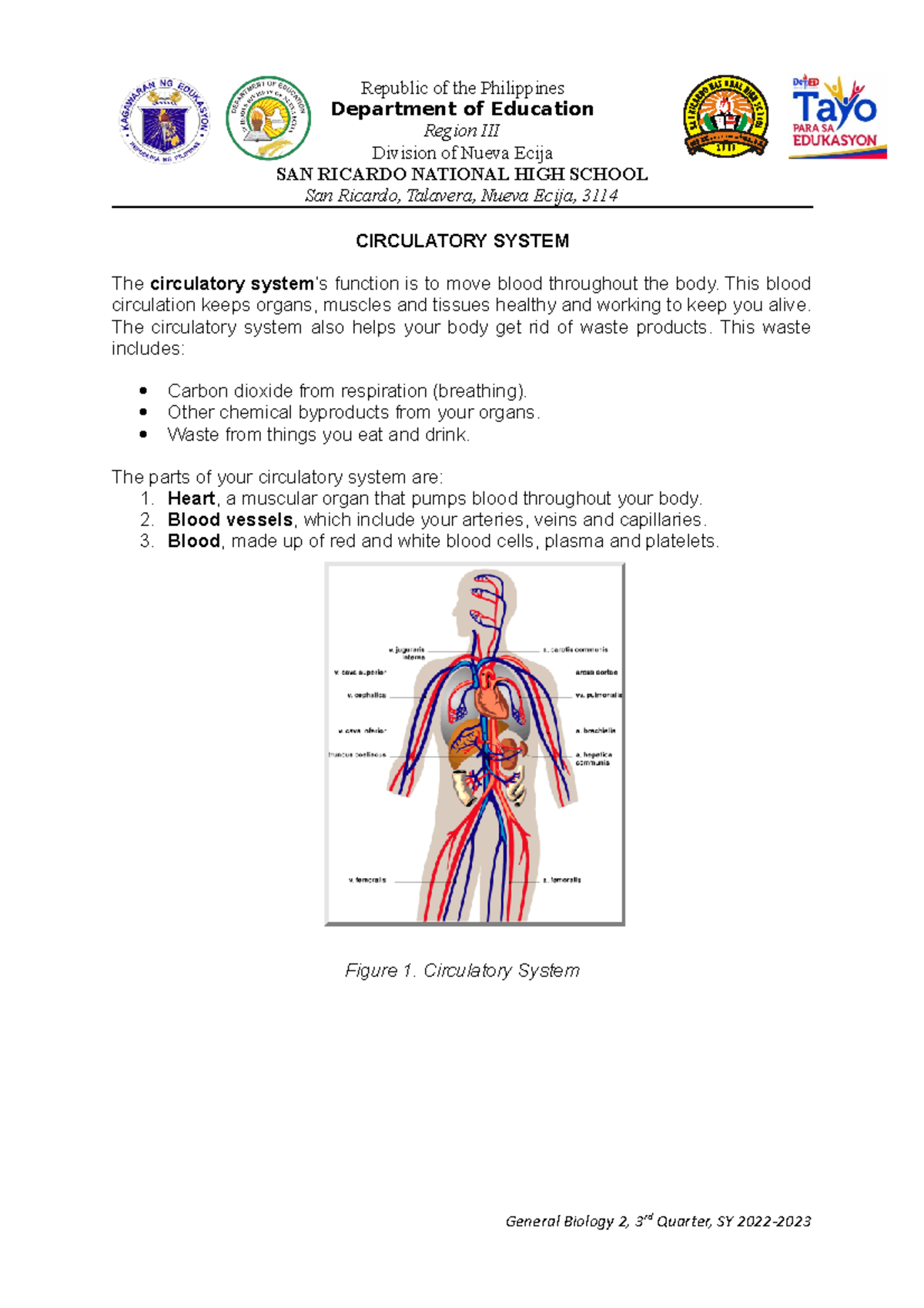 Circulatory- System - GI N O D 1 9 6 9 N I O H O A RD O , T A L AV E ...