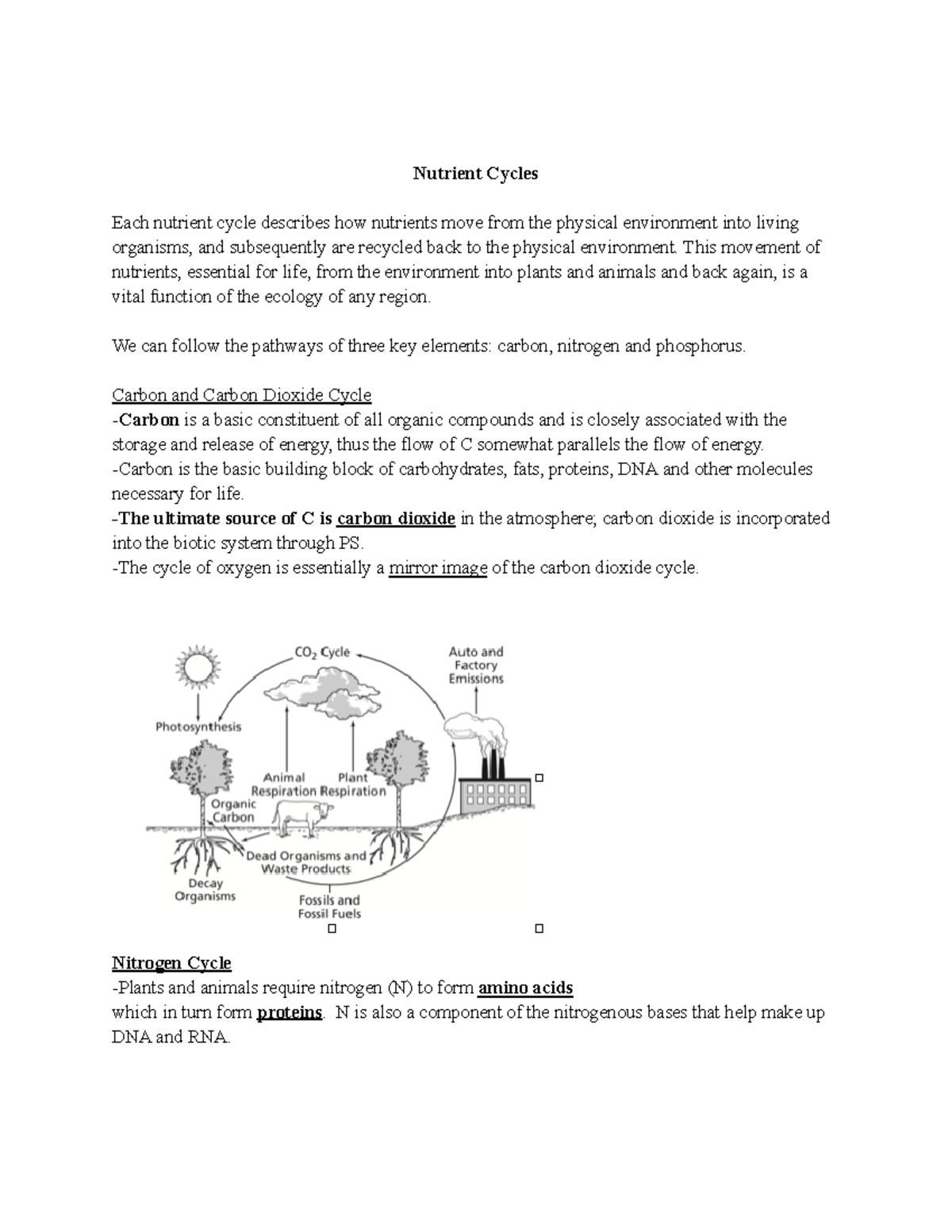 ECO Nutrients cycle - Nutrient Cycles Each nutrient cycle describes how ...