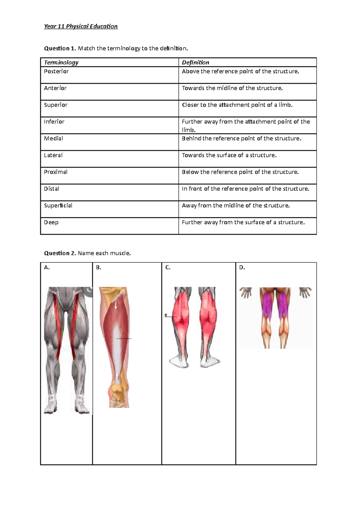 Test Your Knowledge worksheet - Year 11 Physical Education Question 1 ...