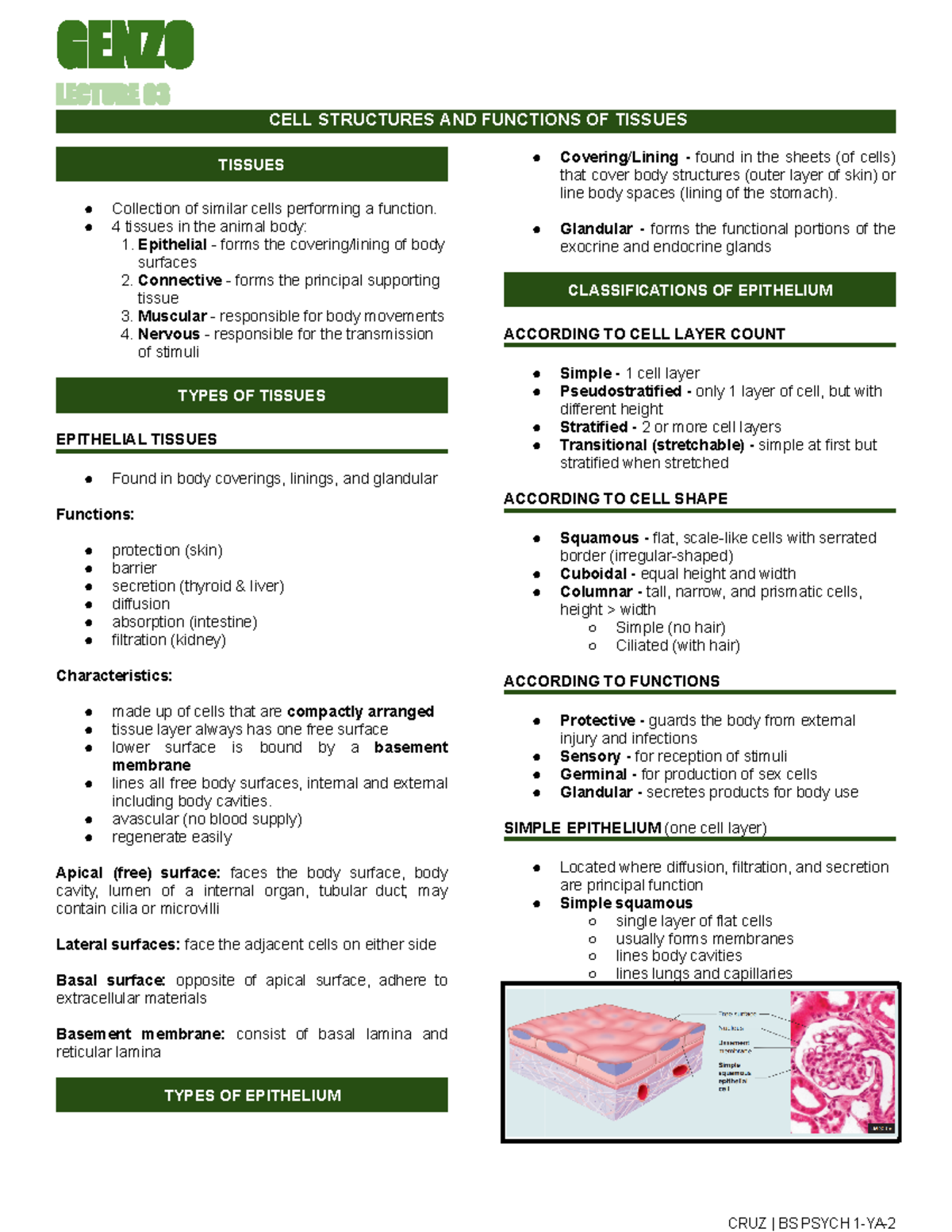 Genzoo - Cells-AND- Tissues 1 - GENZO LECTURE 03 CELL STRUCTURES AND ...