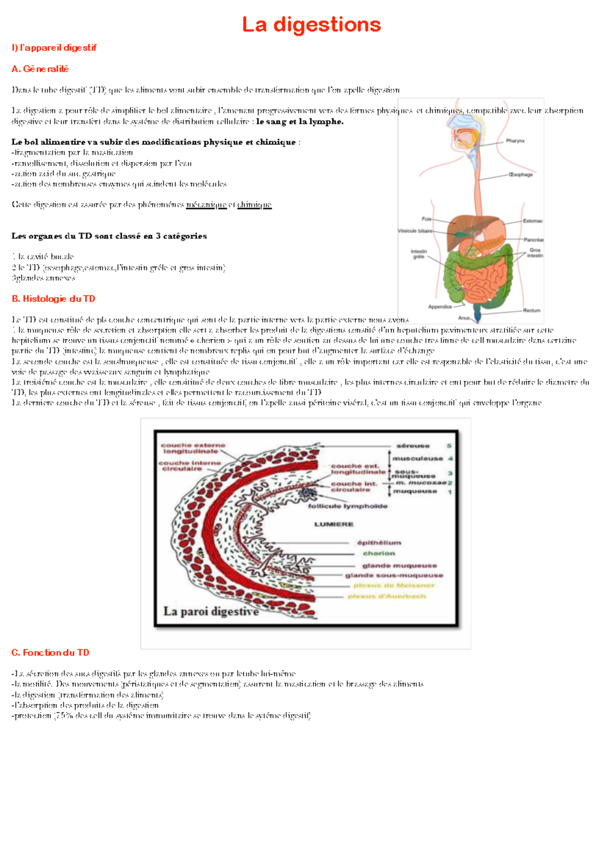 La digestion du corps humain - La digestions I) l’appareil digestif A ...