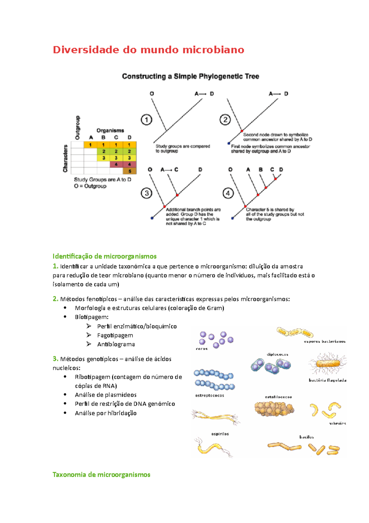 Diversidade do mundo microbiano - Identificar a unidade a que pertence ...