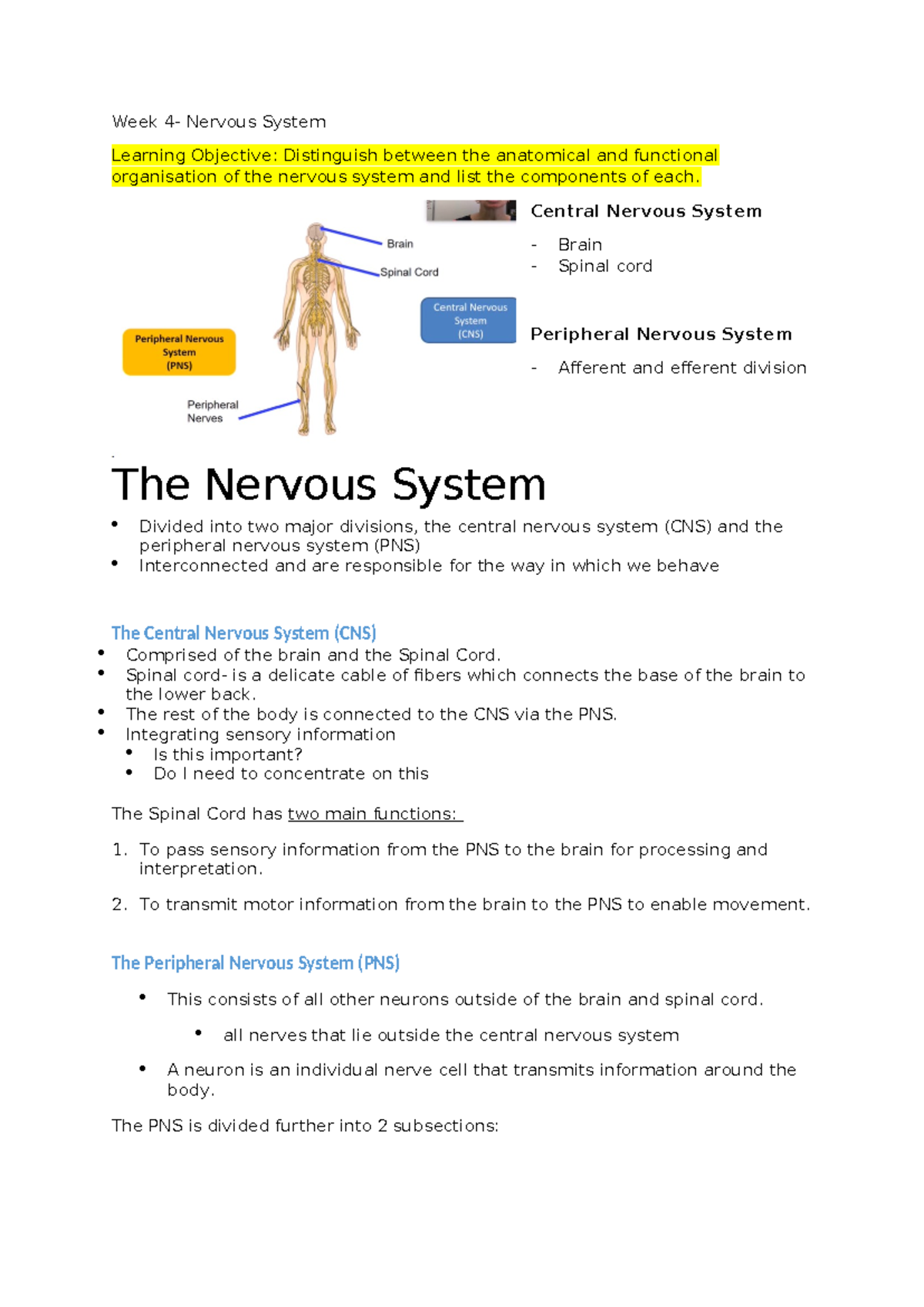 Week 4- The Nervous System - Week 4- Nervous System Learning Objective ...