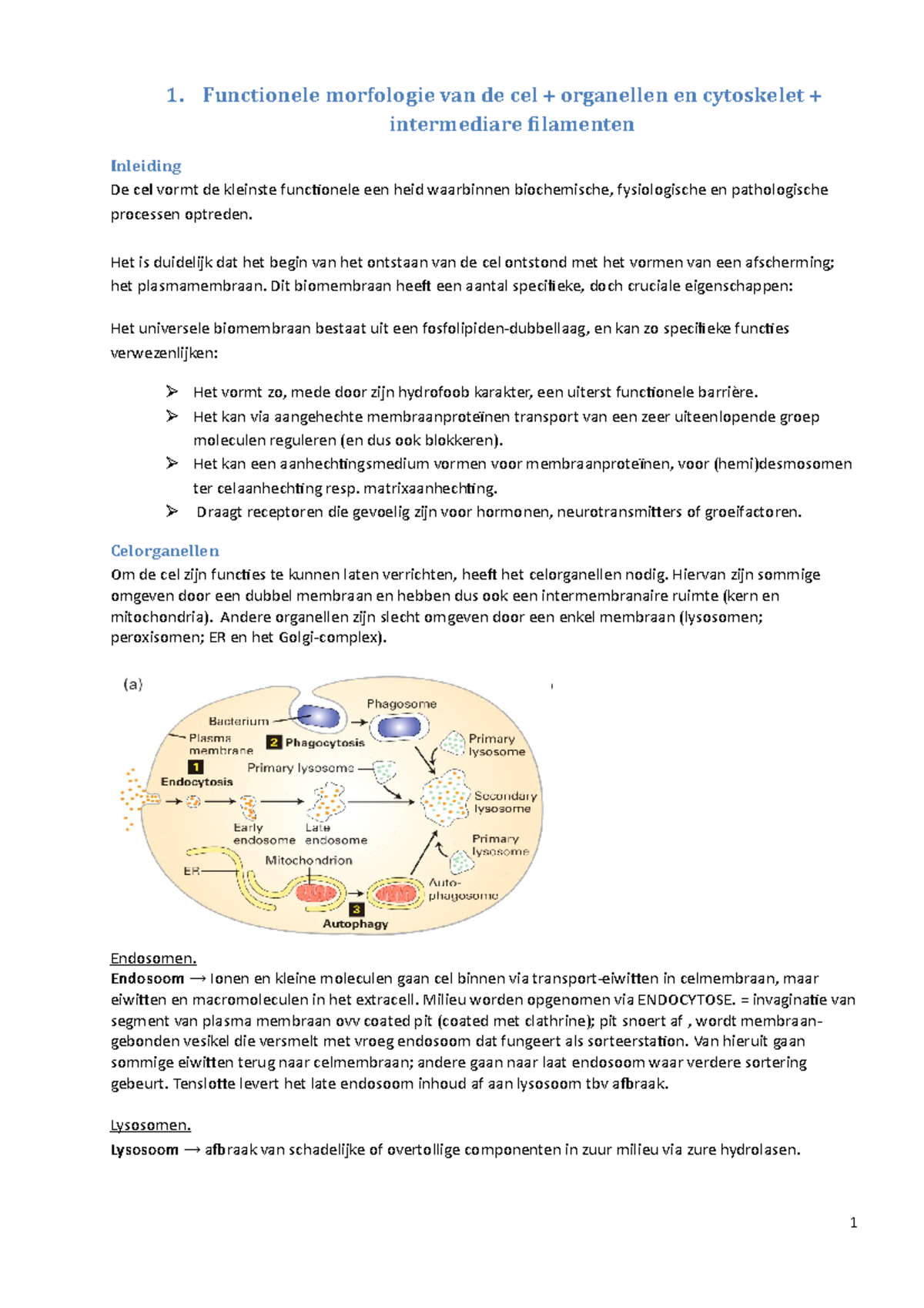 Celbio Jvdo Samenvatting 1 Functionele Morfologie Van De Cel