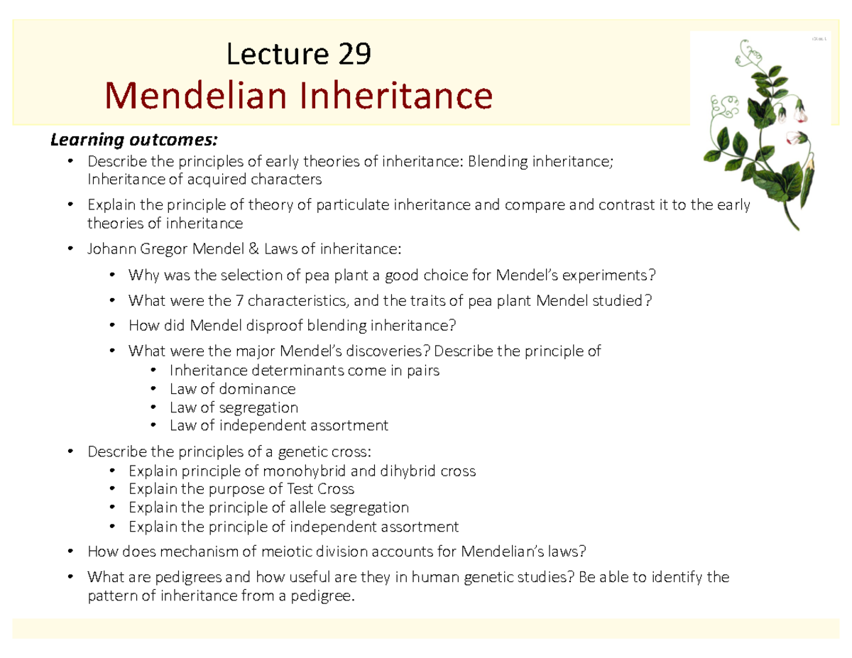 Lecture 29 Mendelian+Inheritance - Lecture 29 Mendelian Inheritance Learning outcomes: iStock ...
