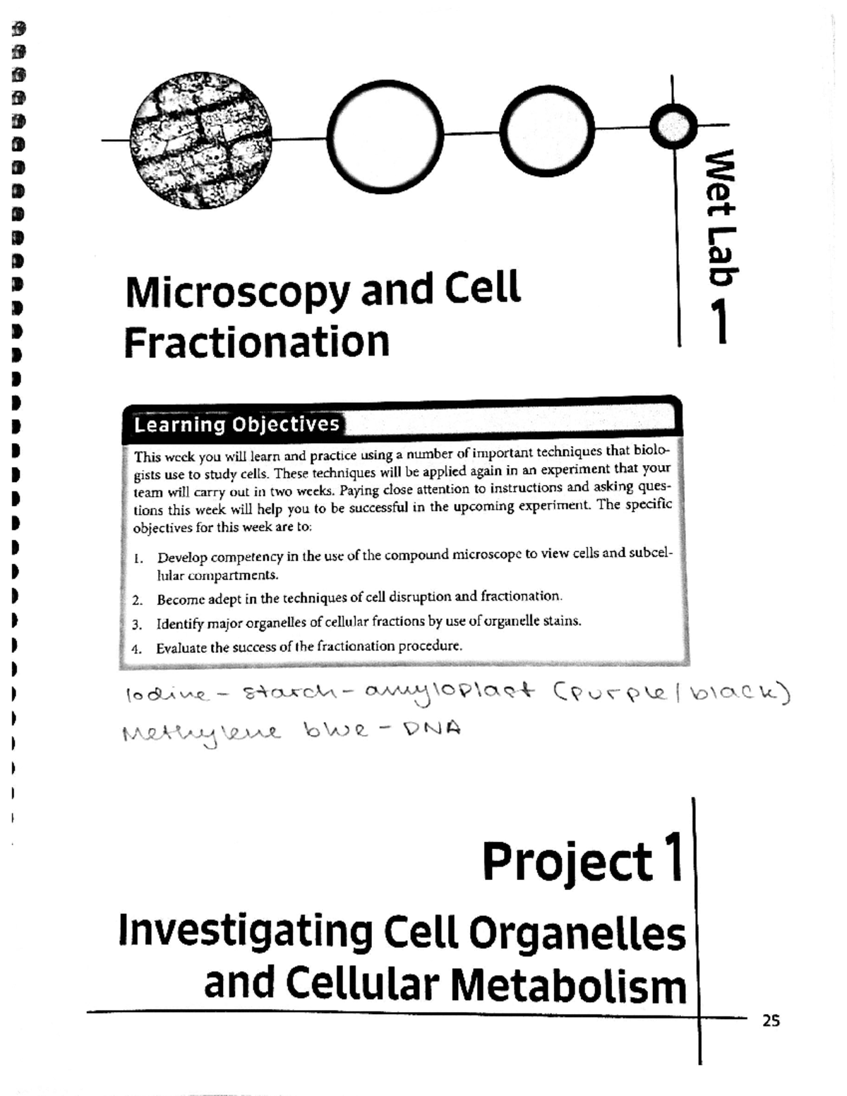 Wet lab 1 Part 1 - BIOL14110AAA - Studocu