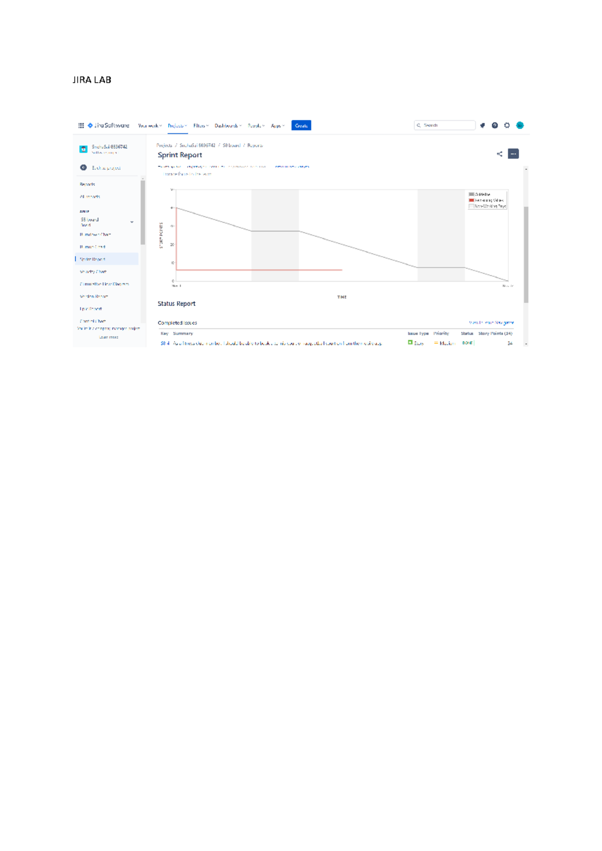 JIRA LAB - jira lab - OMGT 229 - JIRA LAB - Studocu
