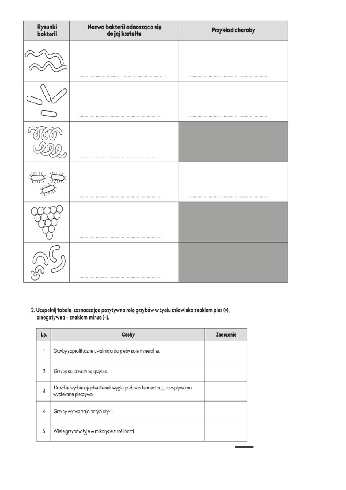 Biologia - Biologia - Zakres podstawowy ...
