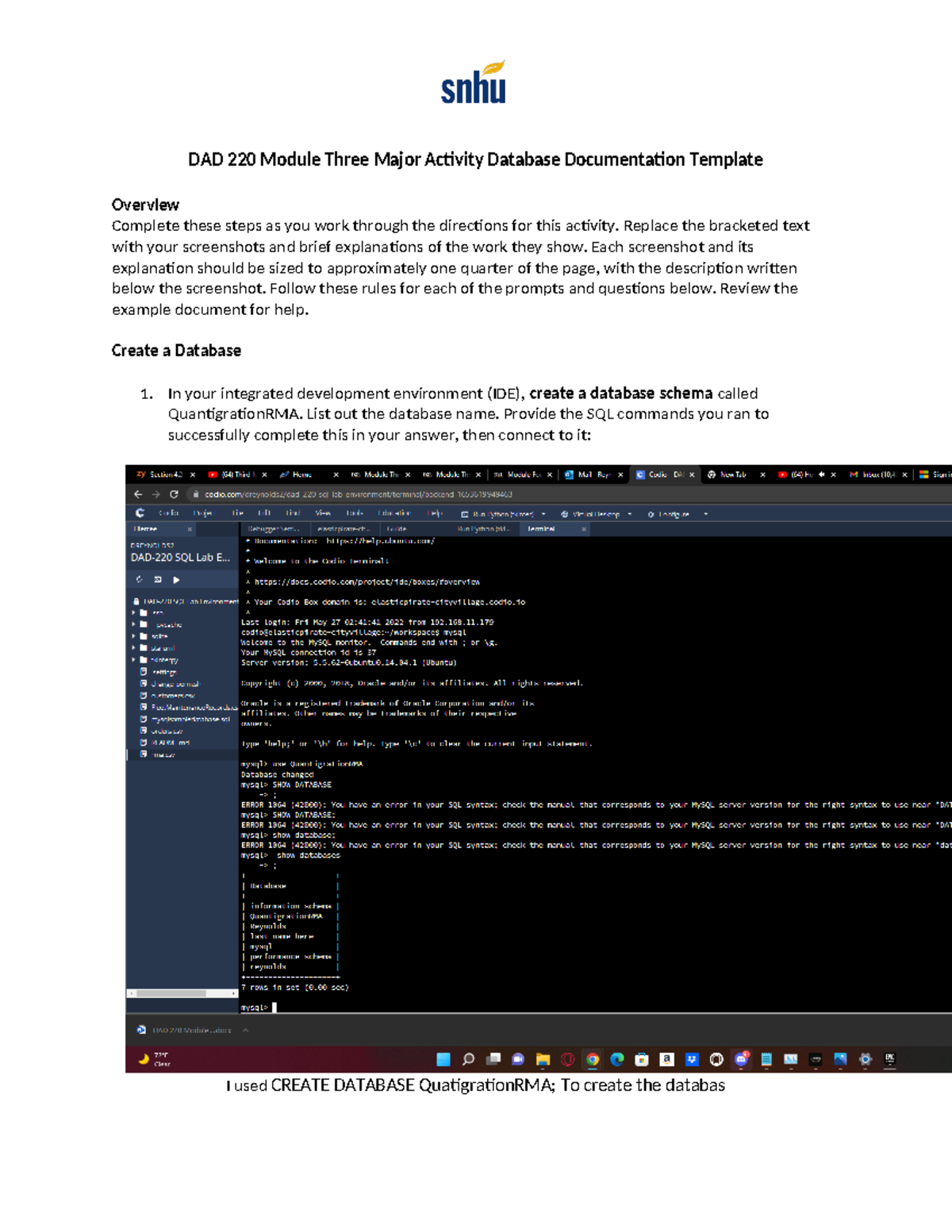 Dad 220 Module Three Major Activity Database Documentation Template Replace The Bracketed Text