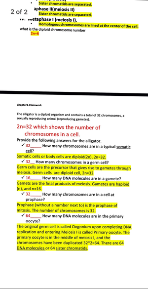 Genetics Quiz 1 Review - 1. A cell in G1 of interphase has 12 ...
