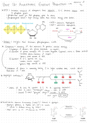 Experiment 4 - exp 4 biochem lab - Chem 026-L 25 February 2019 ...