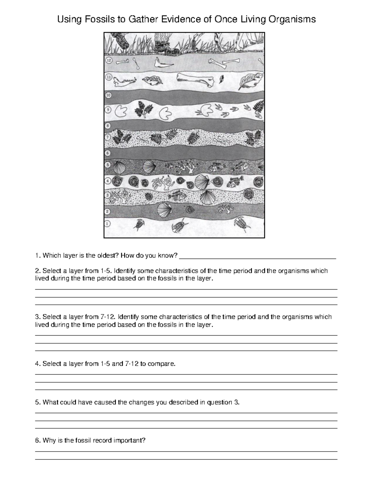h - using-fossils-to-gather-evidence - Using Fossils to Gather Evidence ...