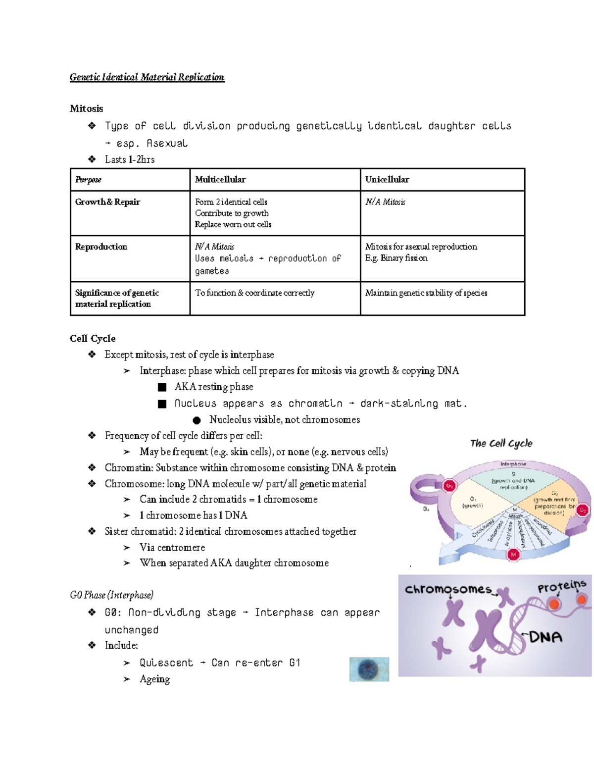 Cell Cycle molecules cells and genes - Genetic Identical Material ...