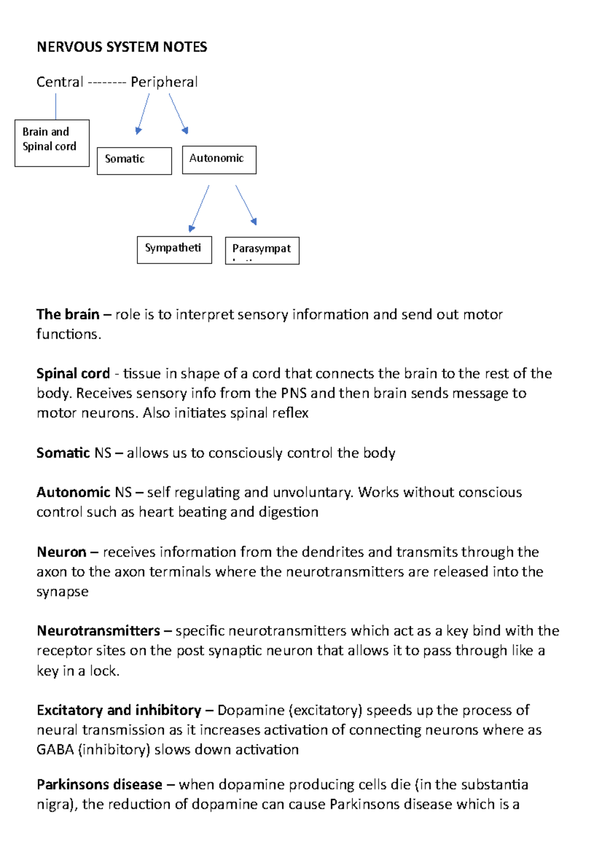 Nervous System Notes - The synapse has been strengthened due tothe ...
