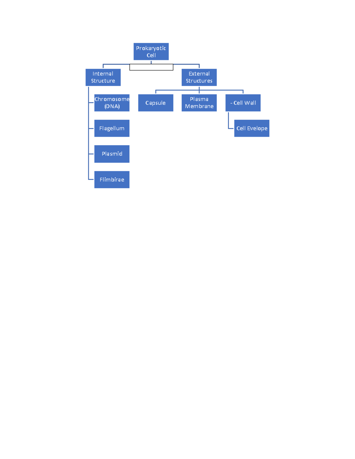 Concept Map 2pdf - good notes - ART-100 - Prokaryotic Cell Internal ...