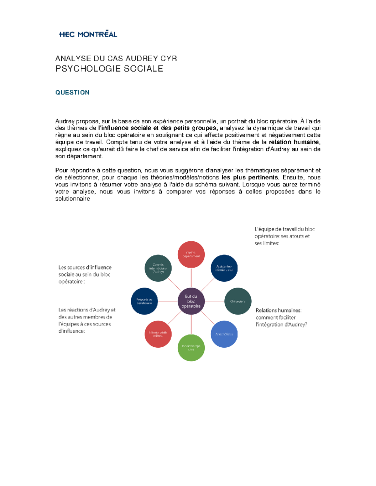 12-Activité synthèse-Audrey Cyr-Psychologie sociale-1 - ANALYSE DU CAS ...