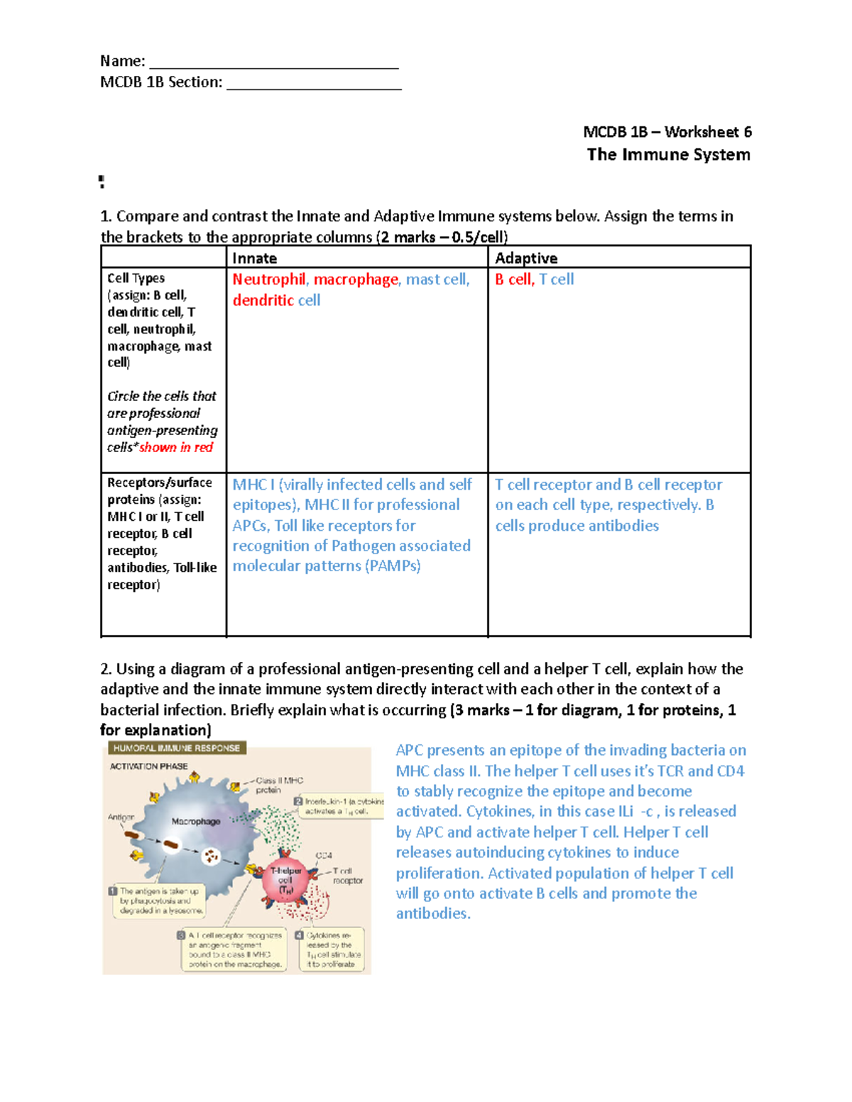 Week 6 Tutorial Activity Answer KEY - Name ...