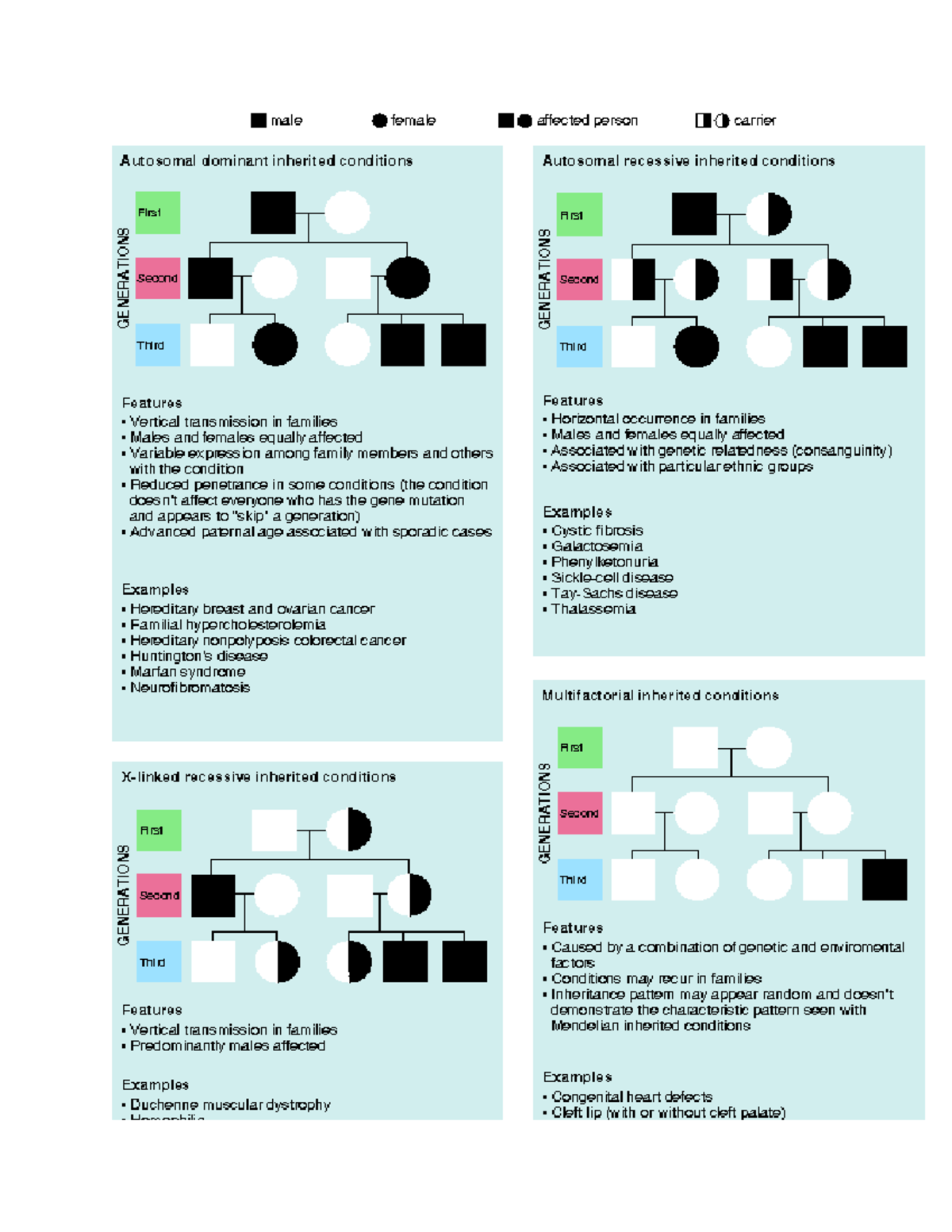 Genetics Punnett Squares - NURS 371 - Studocu