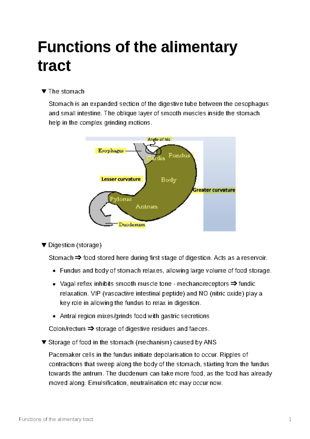 Functions of the alimentary tract - Functions of the alimentary tract ...