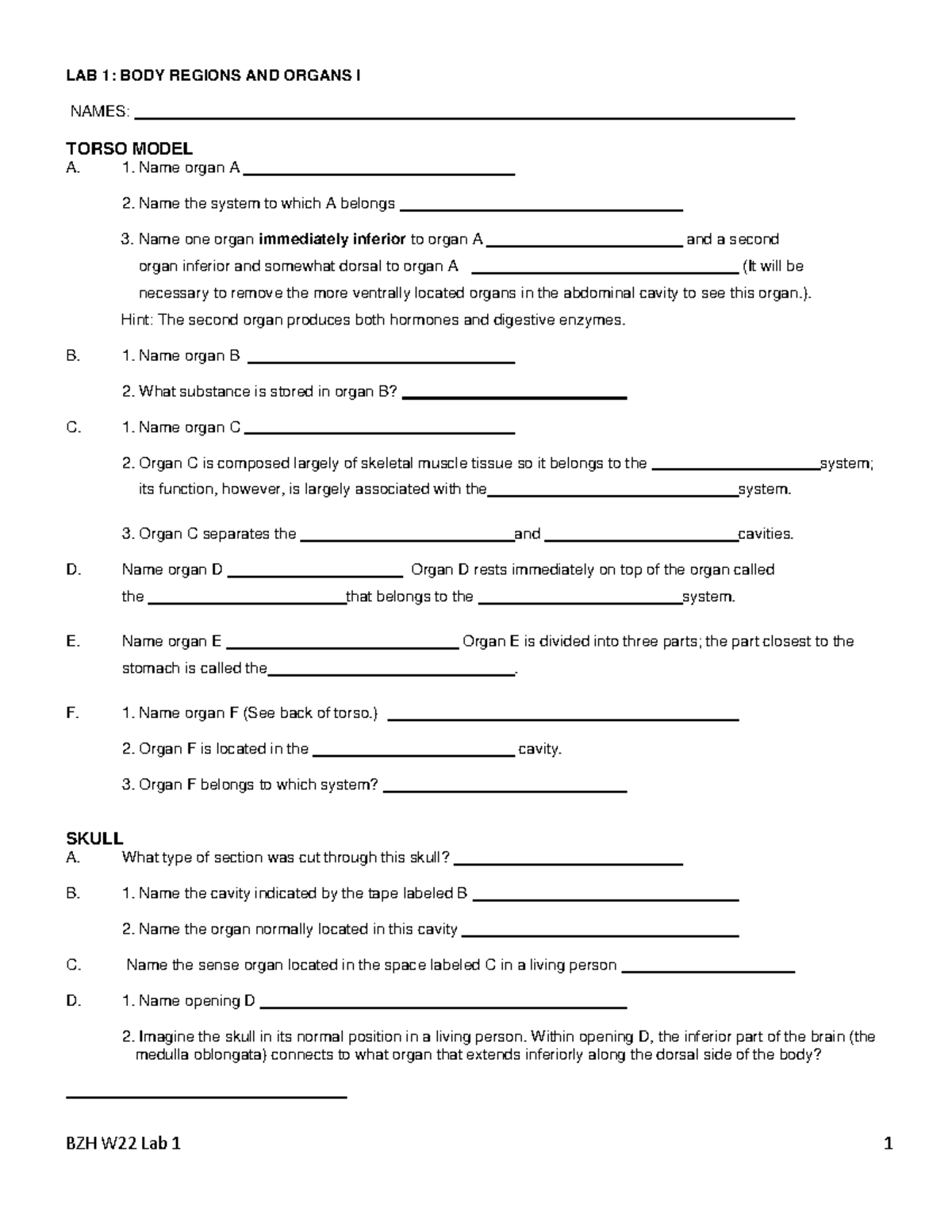 Lab 1 report - yes - LAB 1: BODY REGIONS AND ORGANS I NAMES: TORSO ...