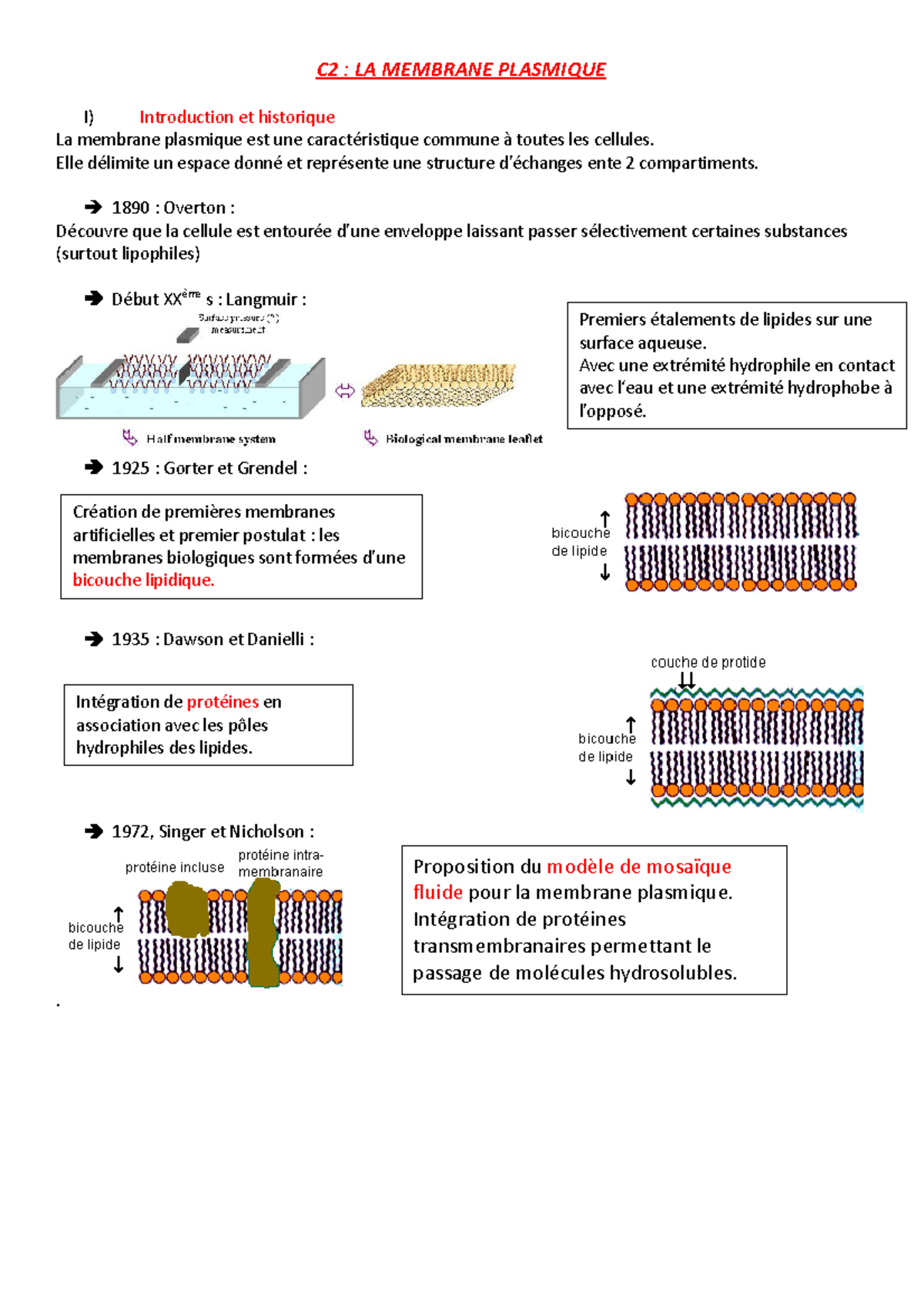 C2 - Cours sur la membrane plasmique et ce qui la compose - C2 : LA MEMBRANE PLASMIQUE I) - Studocu