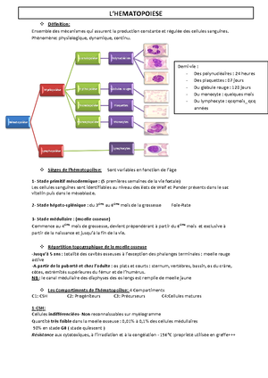 Cours stratigraphie S 3 2020 chap2 - Chapitre II SEDIMENTOLOGIE ET CHRONOSTRATIGRAPHIE ...