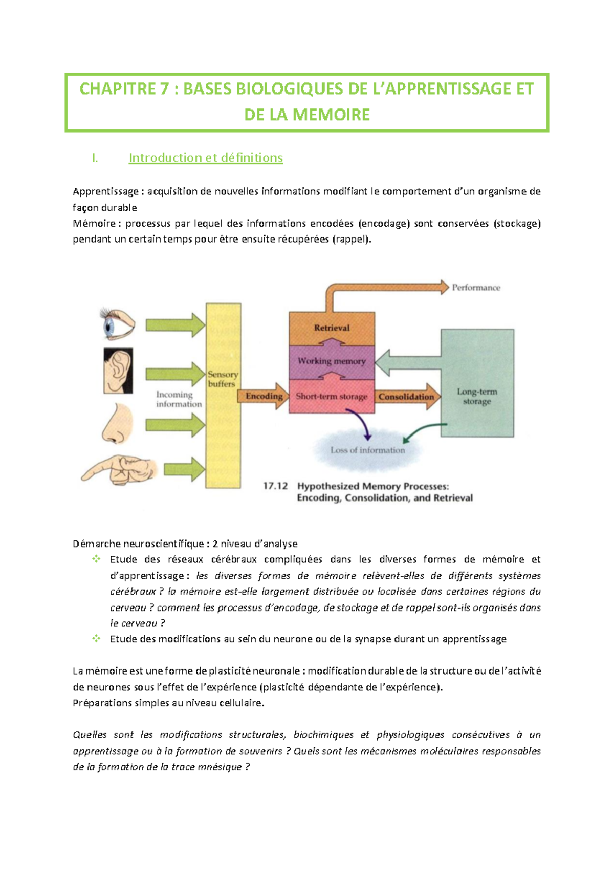 Chapitre 7 Neurosciences Warning Tt Undefined Function 32 Warning Tt Undefined Function
