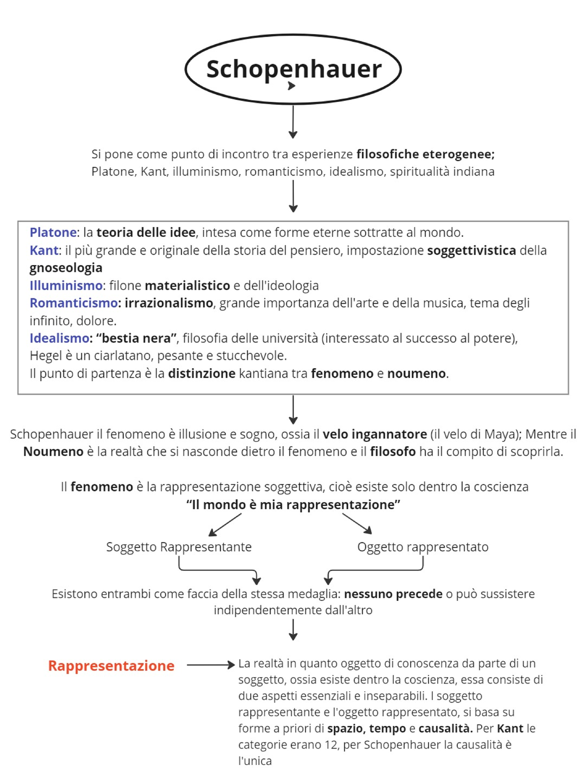 Schopenauer - Mappe concettuali inerenti al filosofo - Filosofia - Studocu