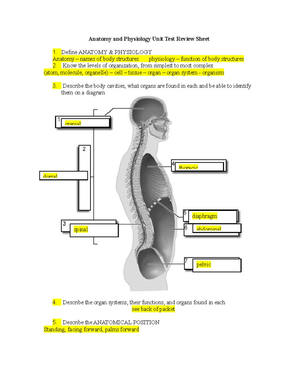 Anatomy and physiology Unit test review with answers - Anatomy and ...