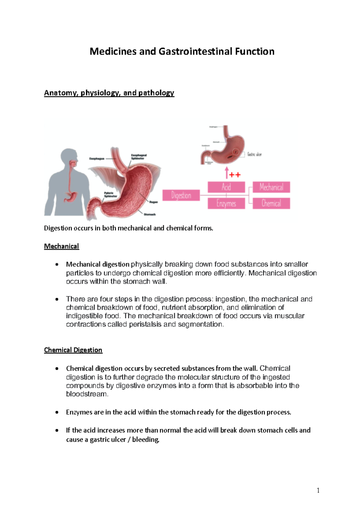 Medicines and Gastrointestinal Function - Medicines and ...