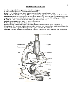 2nd-lab - lab practical program - A PRACTICAL RECORD BOOK OF COMPUTER ...