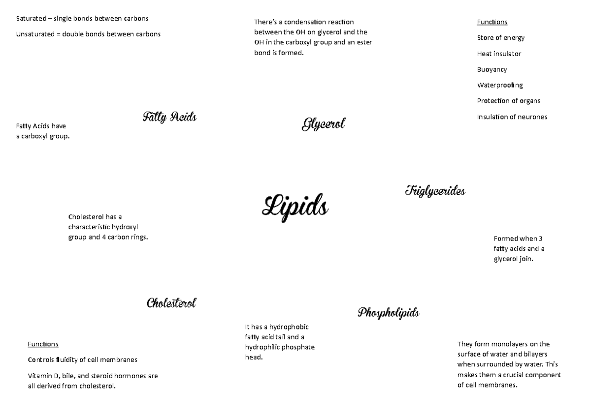 Lipids mindmap - There’s a condensation reaction between the OH on glycerol and the OH in the ...