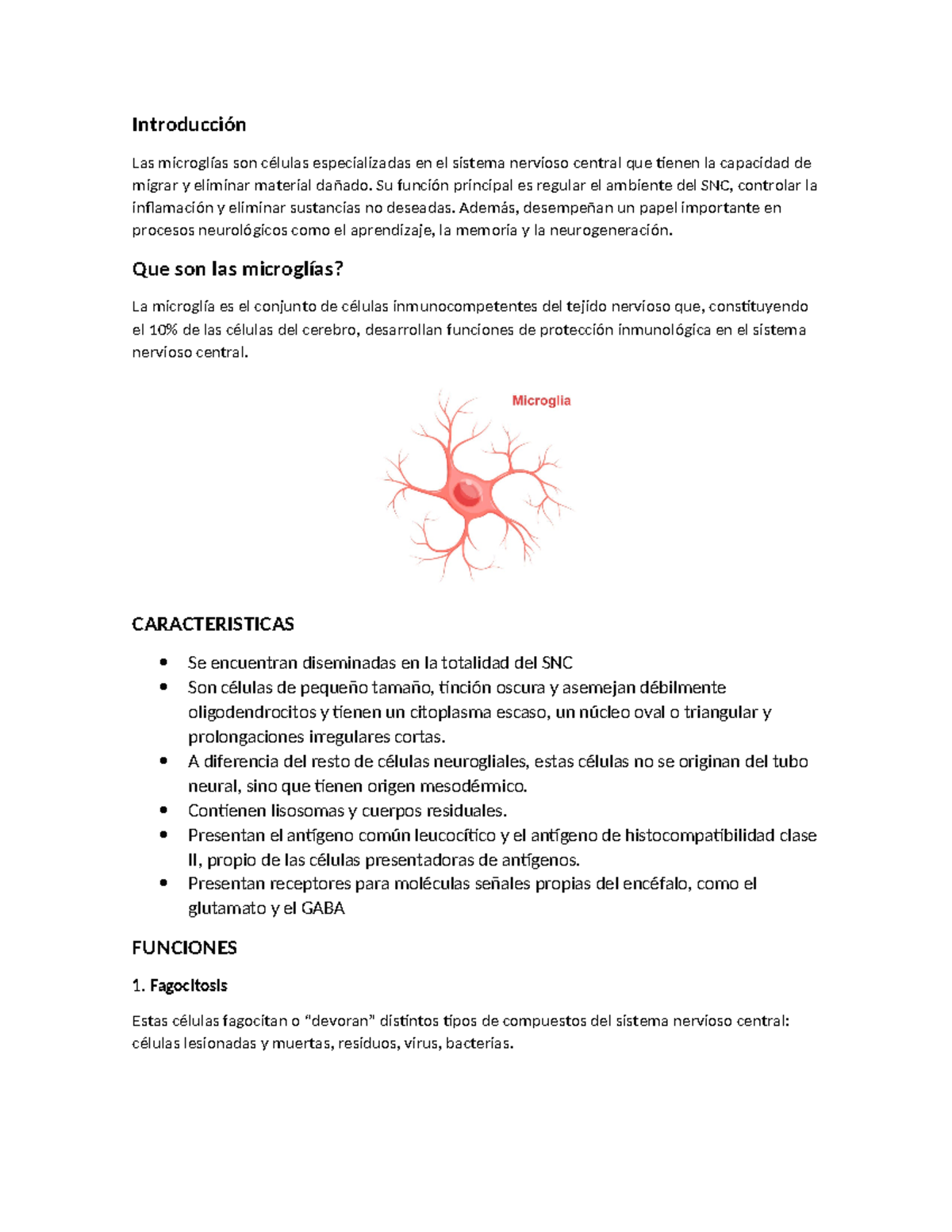 El estudio de la microglia - Introducción Las microglías son células especializadas en el ...
