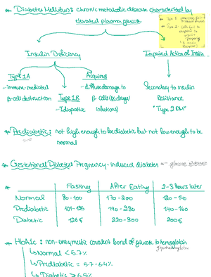 Notes for Diabetes and goiter - Islets of Langerhans x cells Glucagon p ...