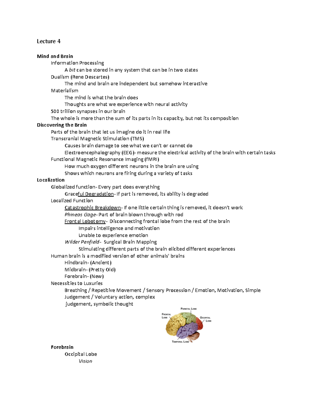 Intro to Psych - Lecture 4 - Lecture 4 Mind and Brain Information ...