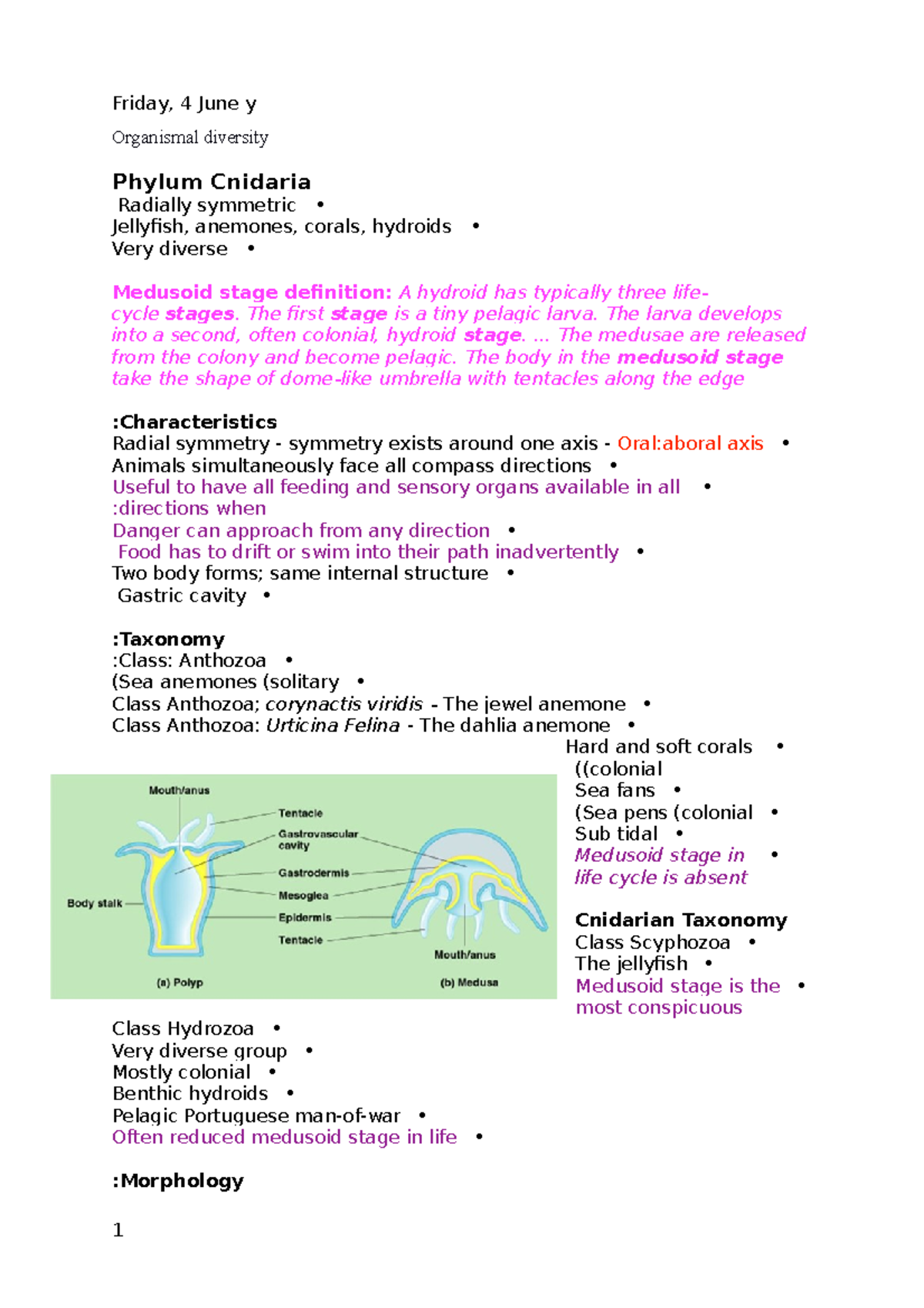 Phylum Cnidaria 10:10 - Lecture notes 13 - Friday, 4 June y Organismal ...