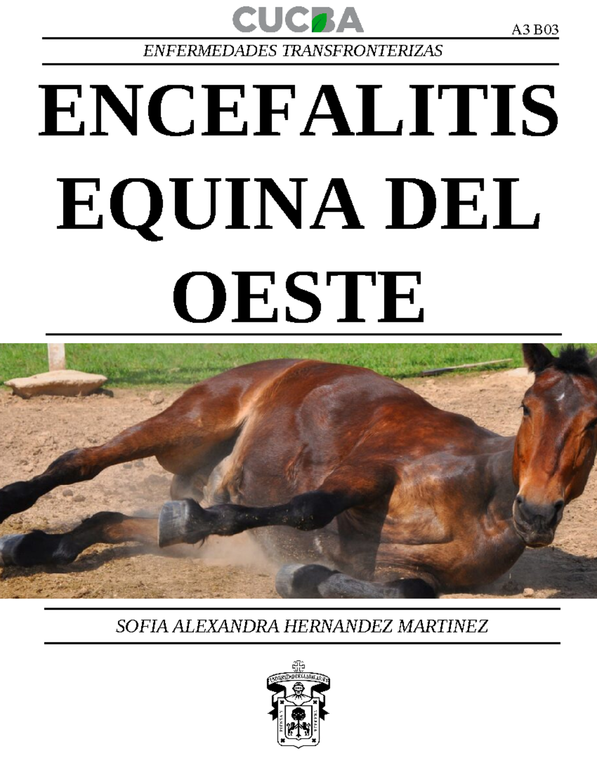 Encefalitis Equina Del Oeste - ENCEFALITIS EQUINA DEL OESTE ...