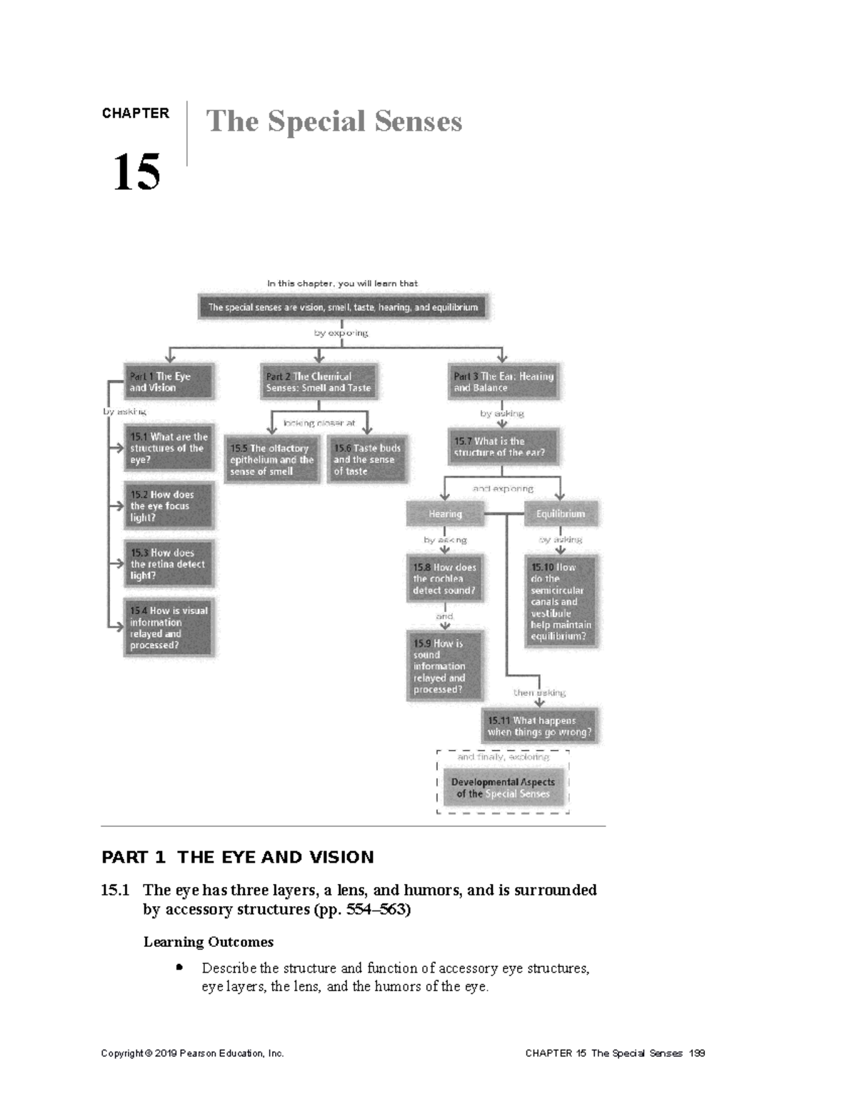 Chapter 15 - Special Senses - The Special Senses PART 1 THE EYE AND ...