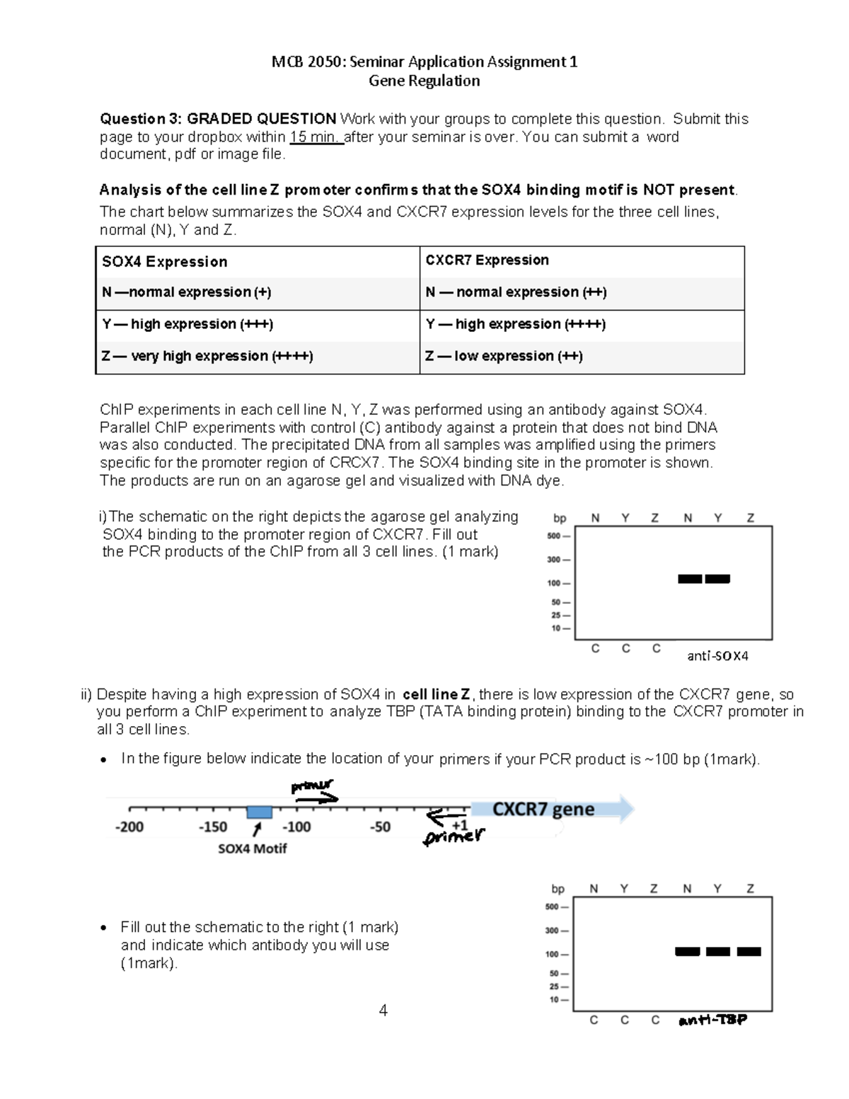 Sem 1 Assignment - MCB 2050 : Seminar Application Assignment 1 Gene Regulation Question 3 ...