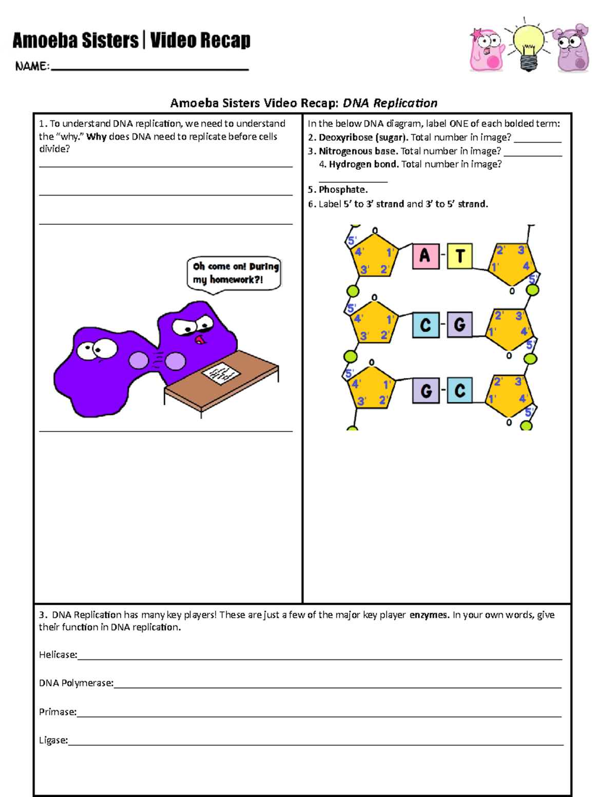 Dna replication by amoeba sisters Student - Amoeba Sisters Video Recap ...