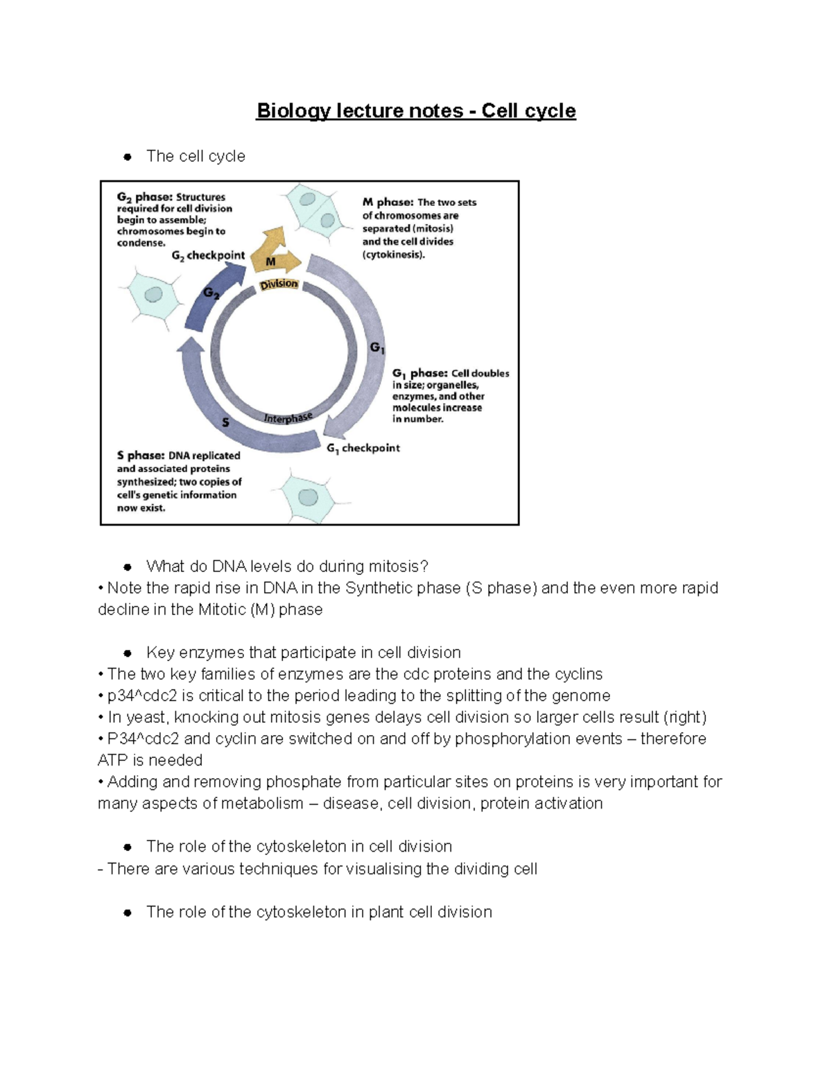 Biology lecture notes - Cell cycle - Microtubules are green & yellow ...