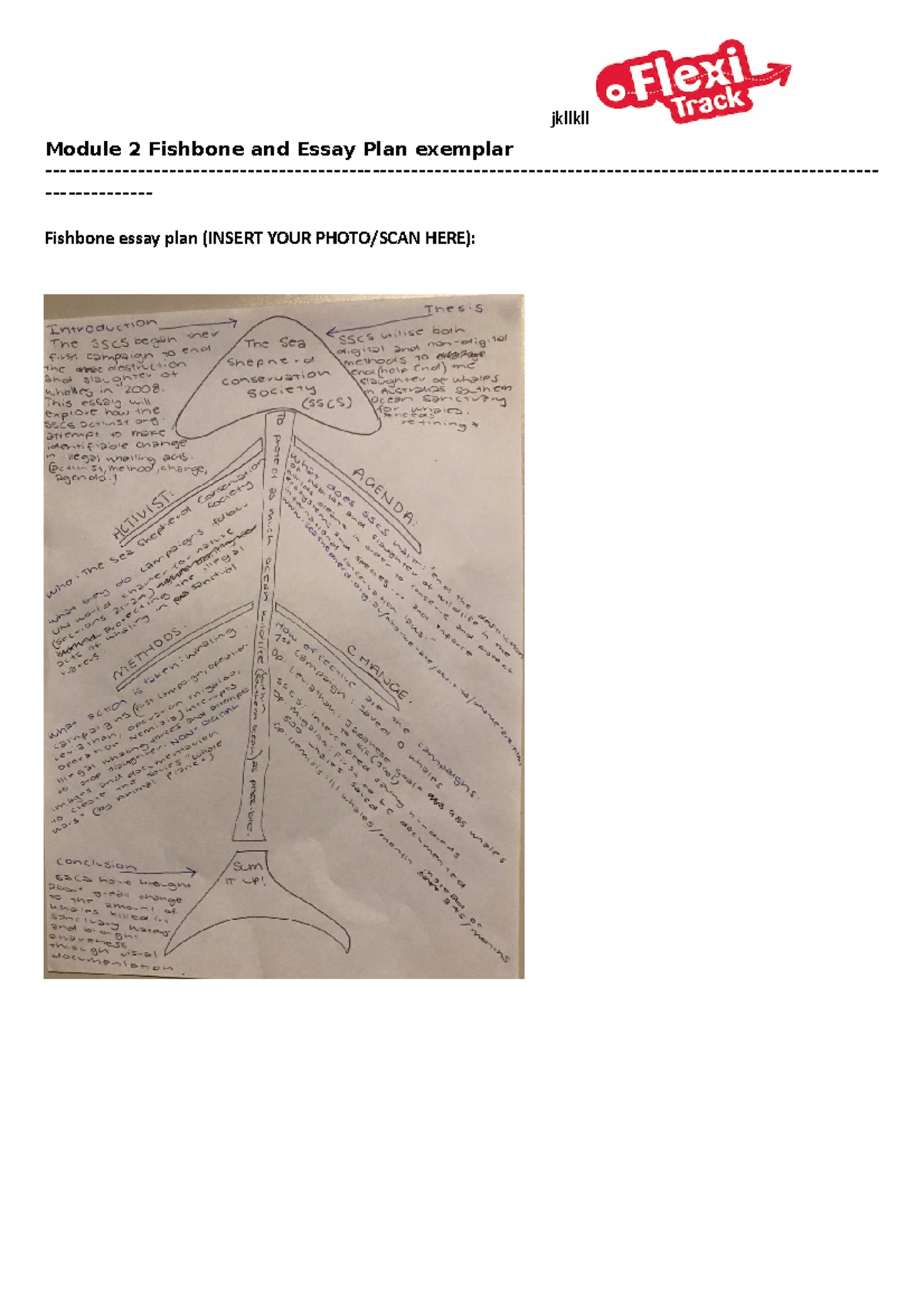 Module 2 Fishbone and Essay Plan exemplar[ 2650] - LEG430 - Murdoch ...