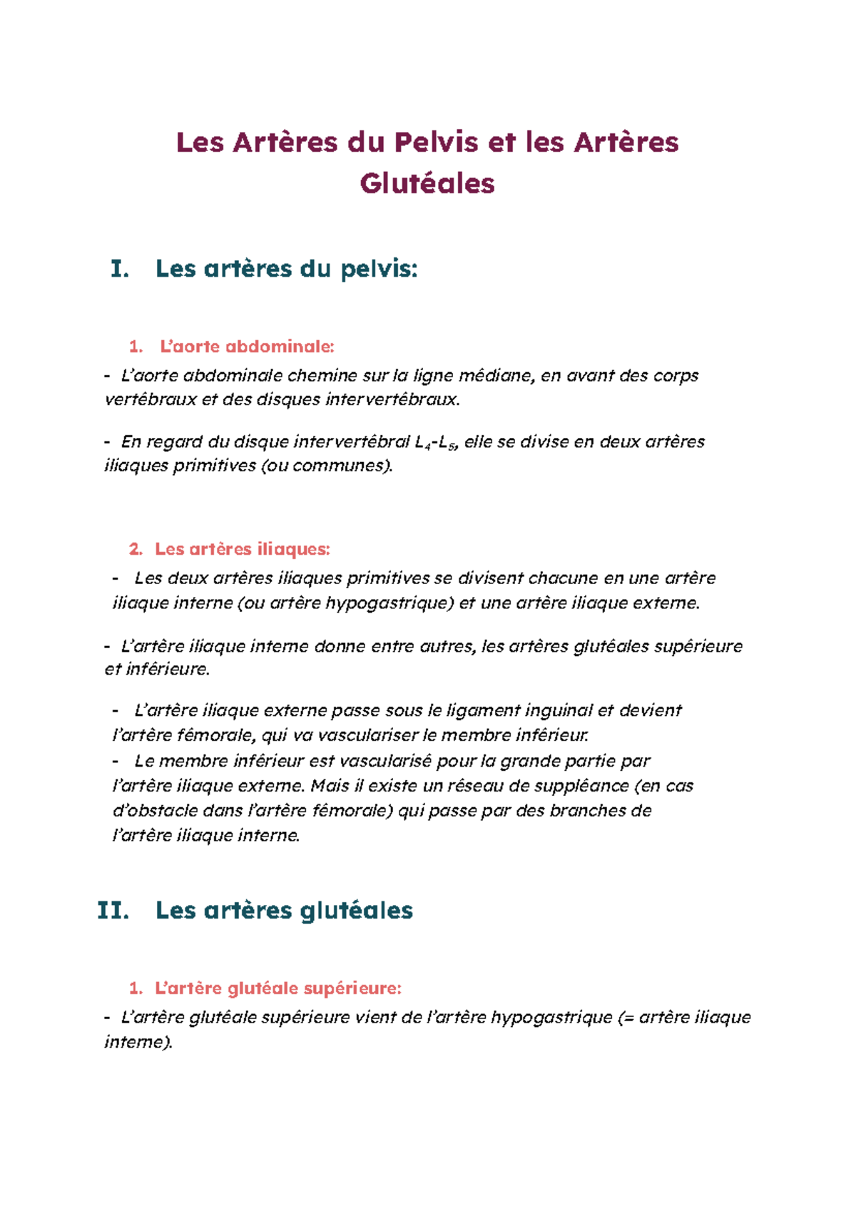 Les Artères du Pelvis et les Artères Glutéales - Les artères du pelvis ...