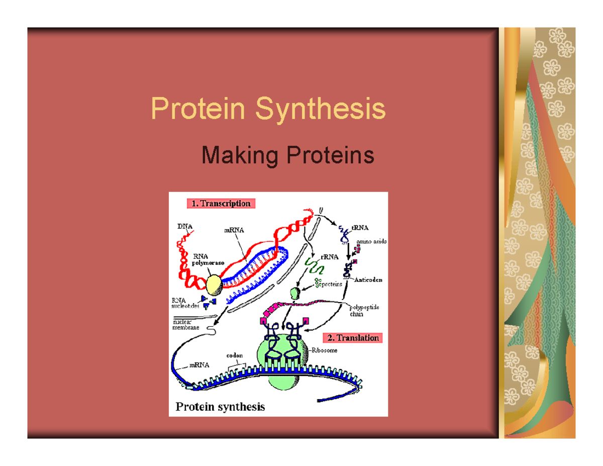 Protein Synthesis - Protein Synthesis Making Proteins Why Do We Need ...