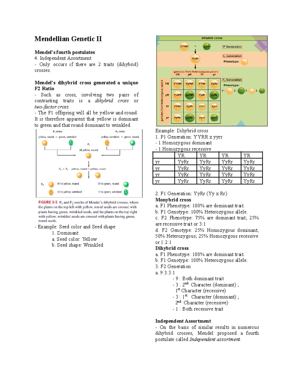 Mendellian Genetic II - Mendellian Genetic II Mendel’s fourth ...