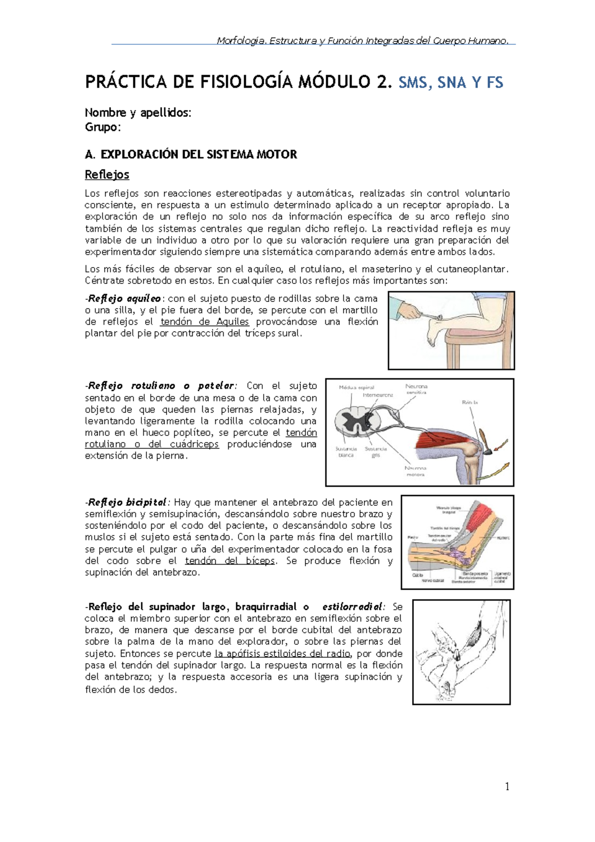 Guion practicas 23-24 - PRÁCTICA DE FISIOLOGÍA MÓDULO 2. SMS, SNA Y FS Nombre y apellidos: Grupo ...
