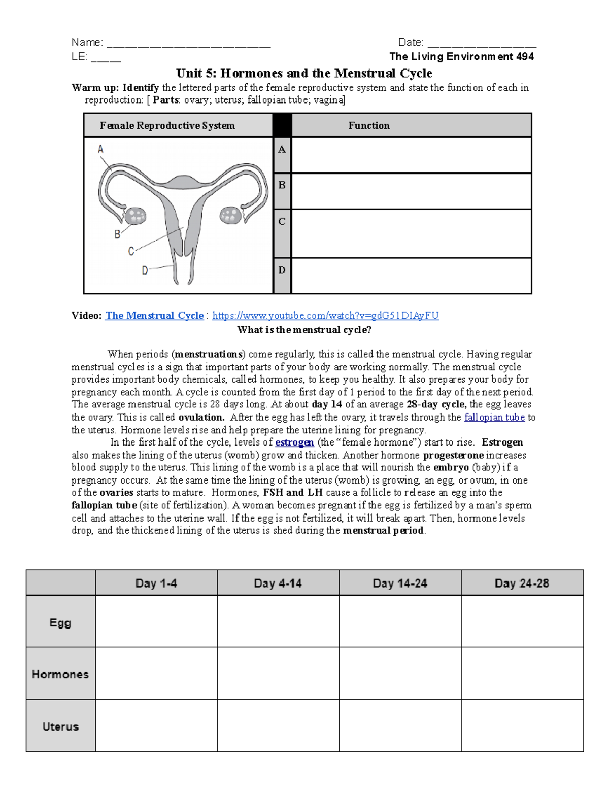 Menstrual Cycle 3 15 - Reproductive system - Name ...