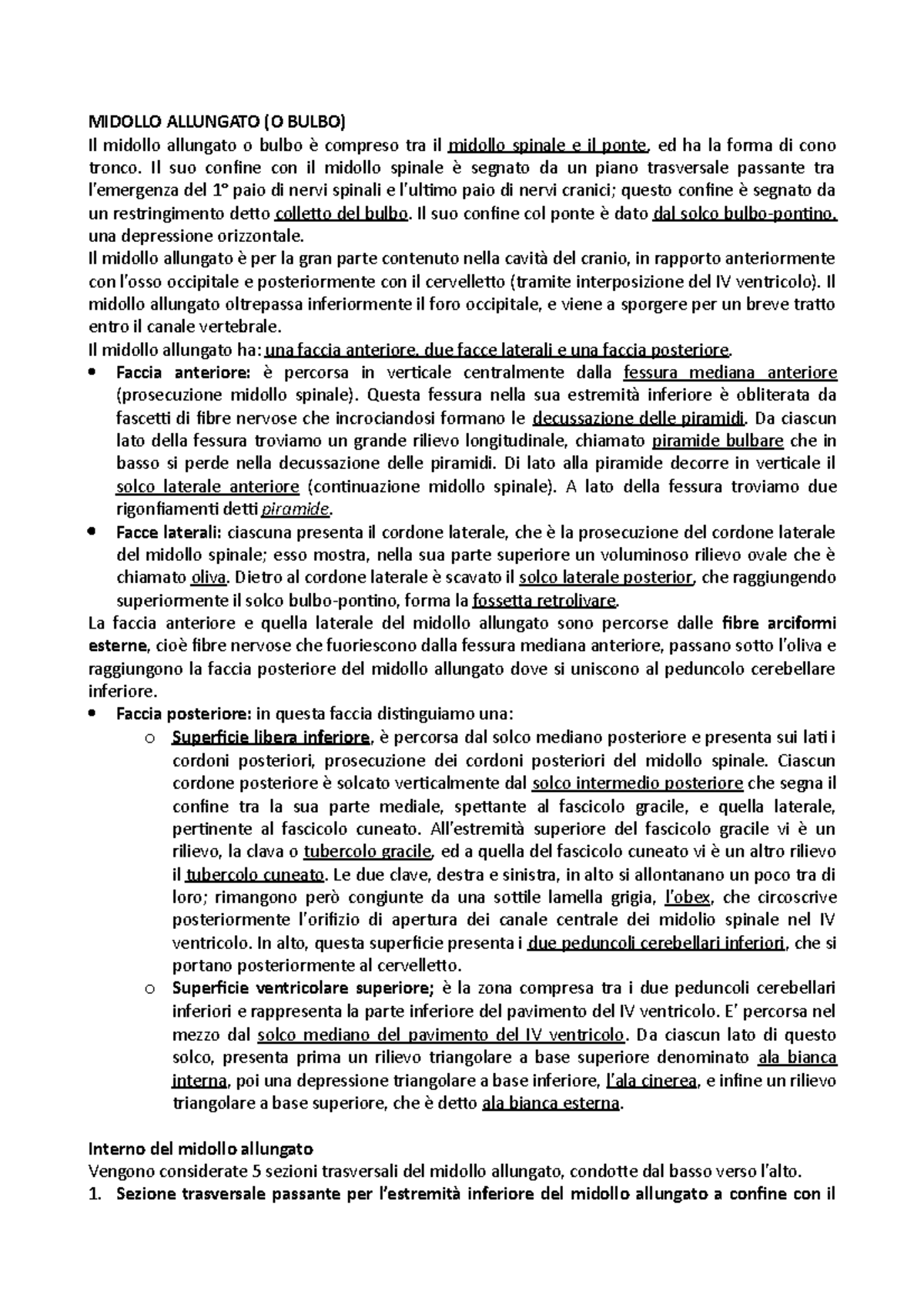 Riassunto Midollo allungato Neuroanatomia - MIDOLLO ALLUNGATO (O BULBO ...