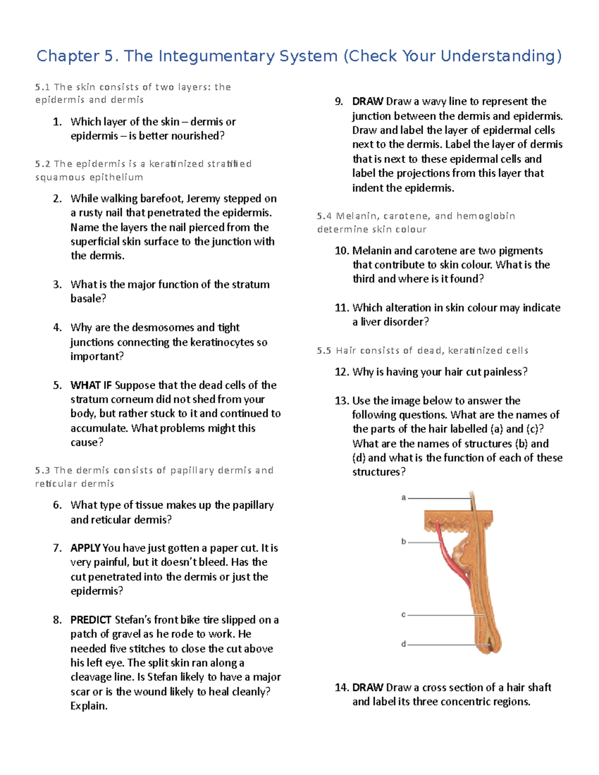 Chapter 5. (Check Your Understanding Questions) - Chapter 5. The ...