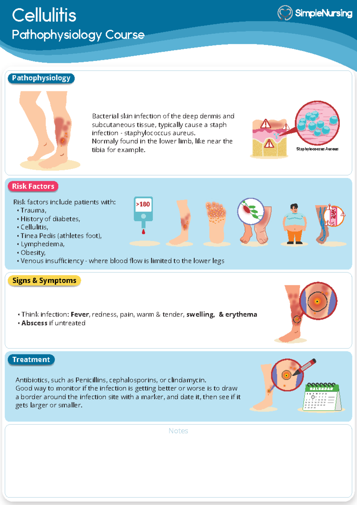 95. Cellulitis - Notes - Cellulitis Pathophysiology Course ...